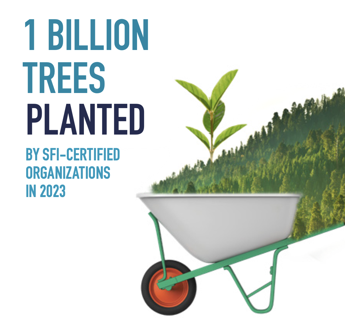 What I Learned on My Field Day in an SFI-Certified Forest - forests.org