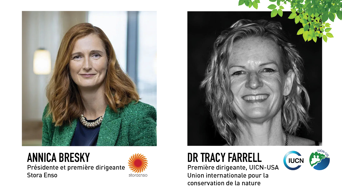 Accueil - forests.org