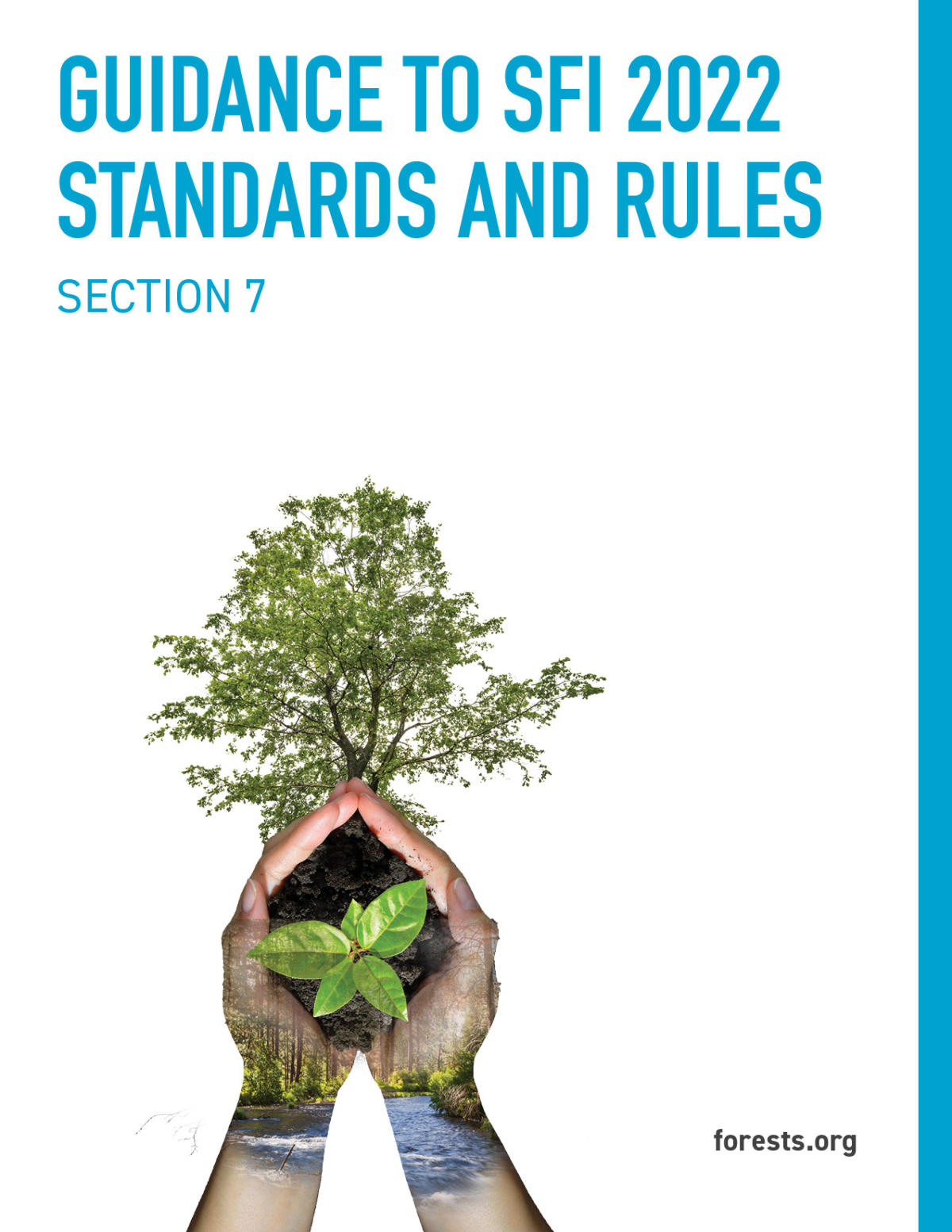 SFI on Forest Deforestation - forests.org