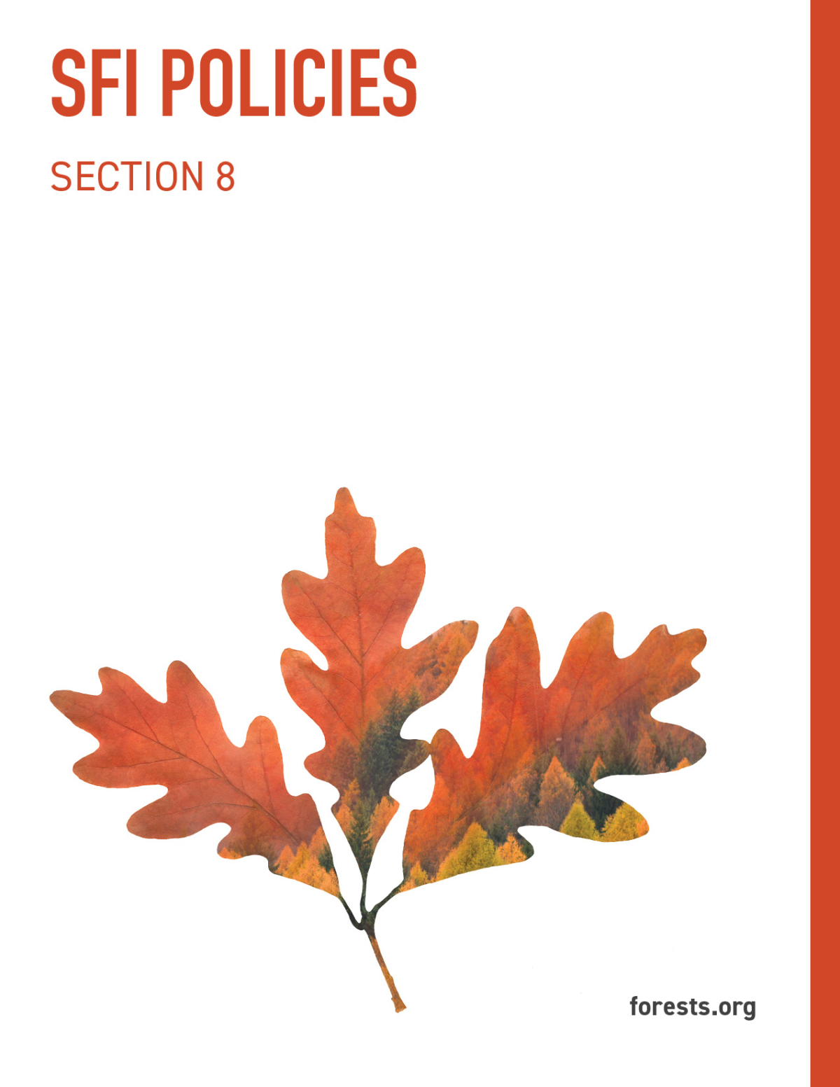 SFI on Forest Deforestation - forests.org