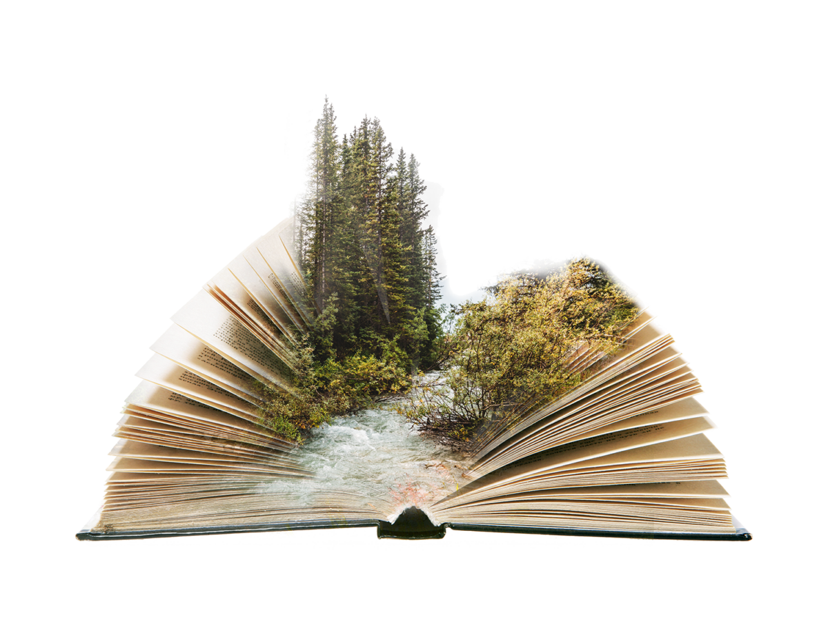 Home - forests.org