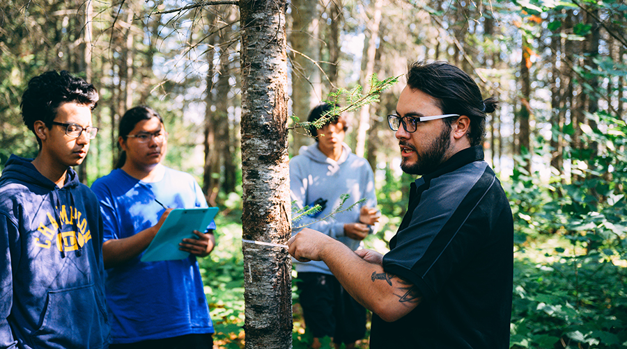 PLT Canada - forests.org