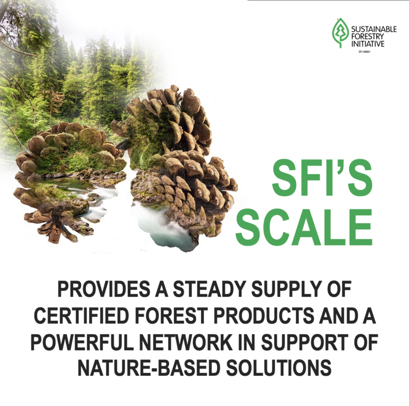 Network - Toolkit - forests.org