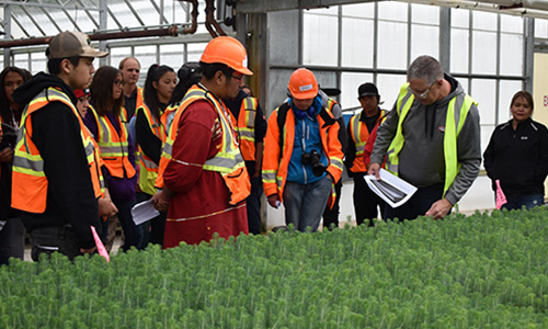 Indigenous SFI Certified - forests.org